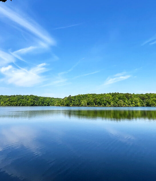 scenic state park alabama ftr