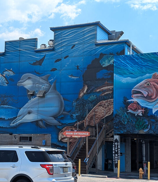 seafoods mississippi restaurants unassuming ftr