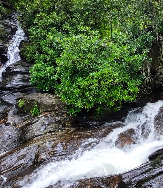 secret georgia park scenic ftr