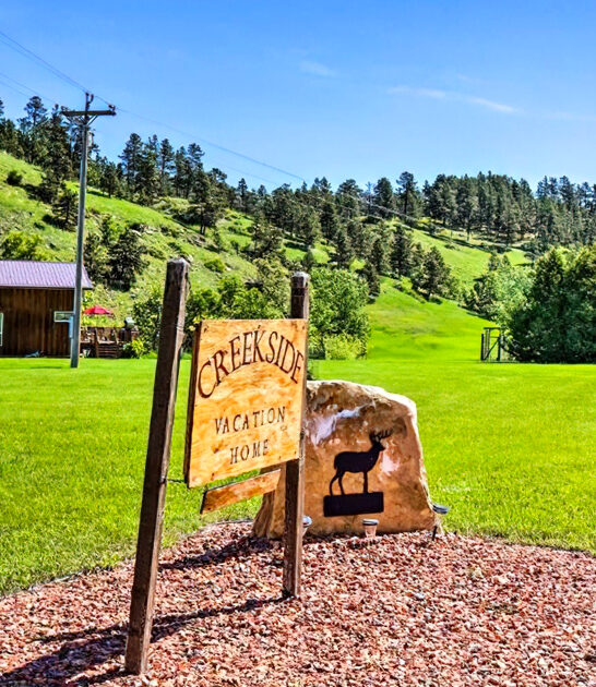 simple town south dakota ftr