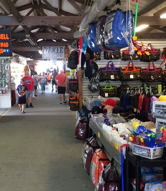 south carolina enormous flea ftr