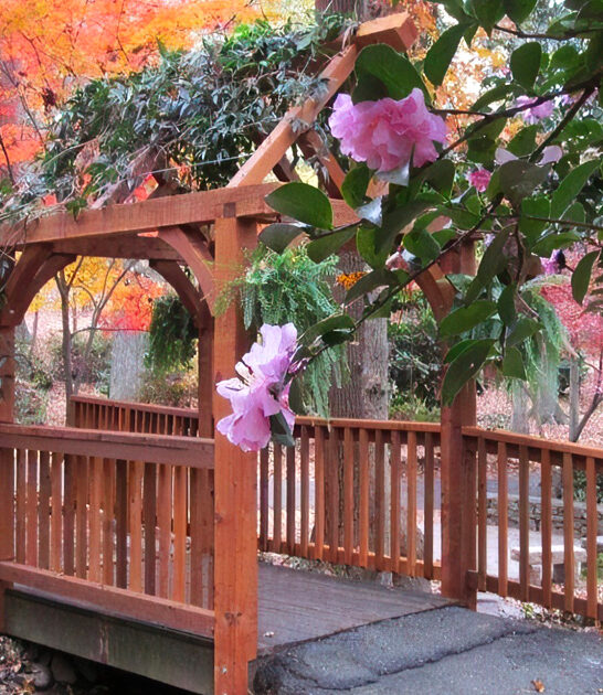 south carolina fairytale garden ftr