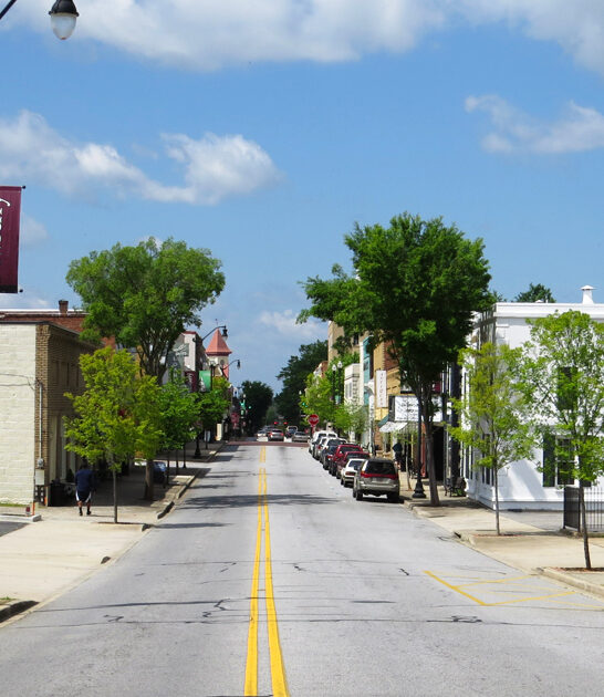 south carolina wonderfully simple ftr