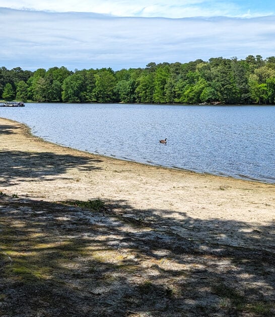 state delaware picturesque park ftr