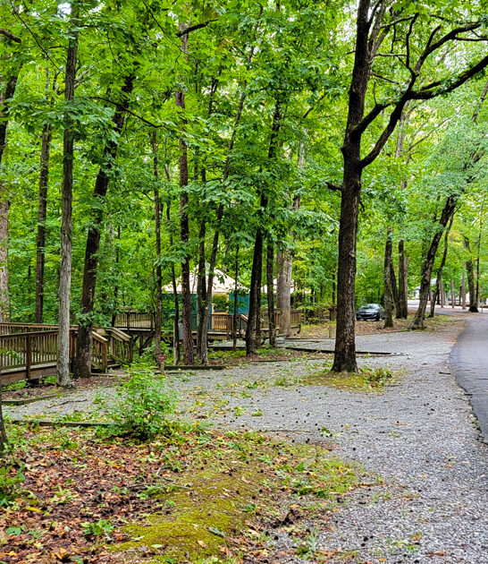 state fantastic park virginia ftr