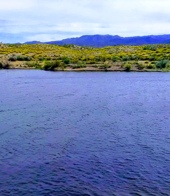 state park arizona painting ftr