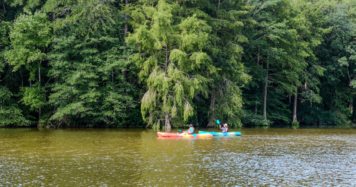 The Postcard-Worthy State Park In Delaware That's Perfect For Laid-Back ...