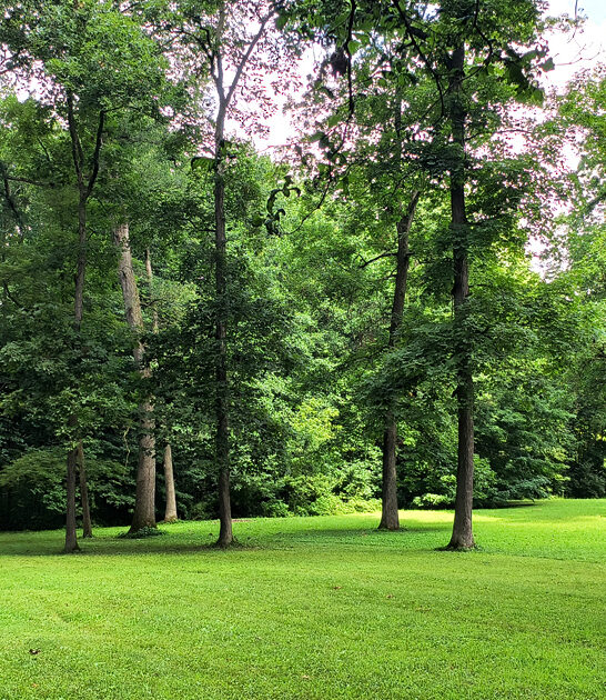 state park indiana postcard ftr