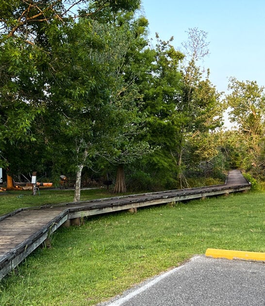 state park louisiana nature ftr