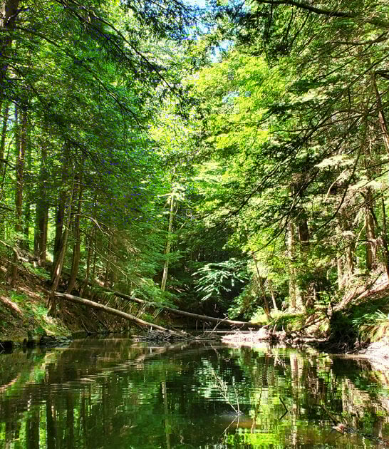 state park pennsylvania trip ftr