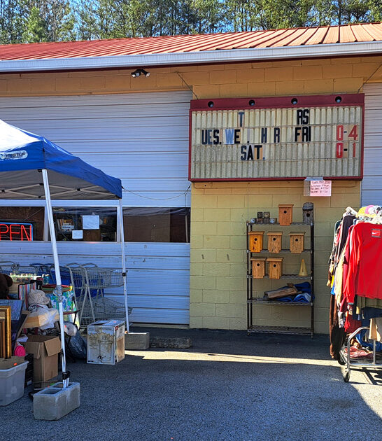 store georgia thrift enormous ftr