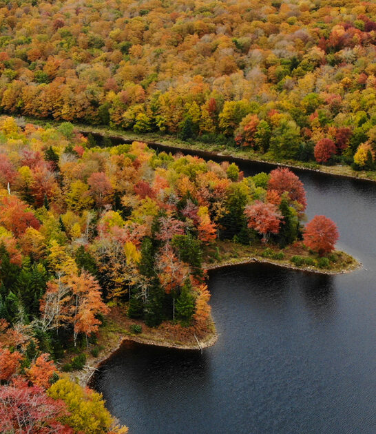 stunning national forest vermont ftr