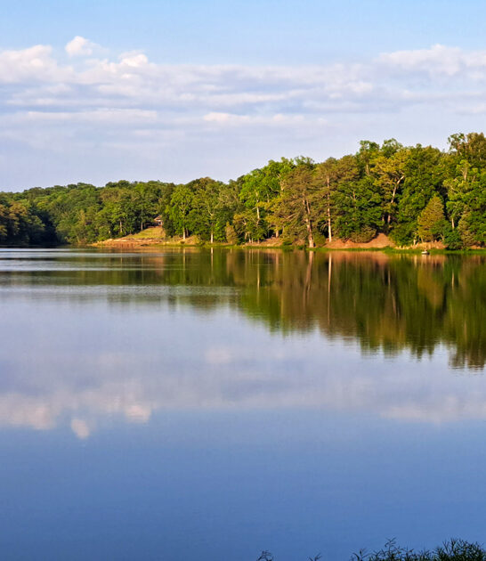 stunning park mississippi disappear ftr