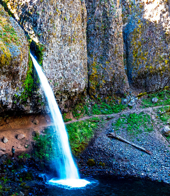 stunning park oregon painting ftr