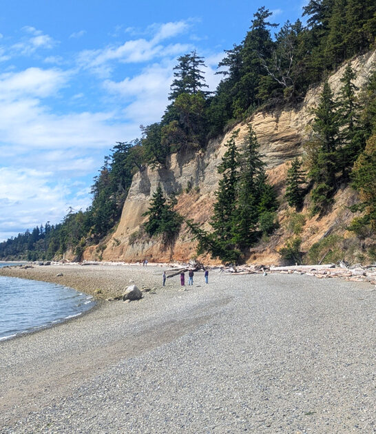 stunning park washington state ftr