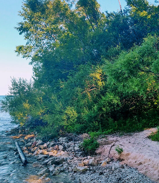 stunning park wisconsin hides ftr