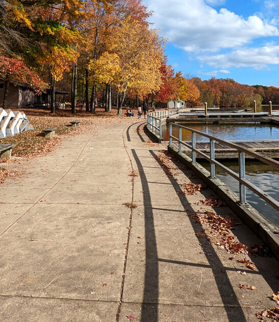 stunning state delaware park ftr