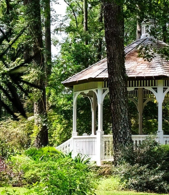 surreal garden north carolina ftr