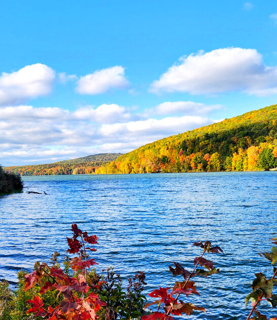 surreal park new york ftr