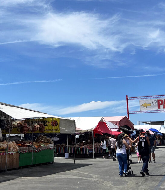 swap meets california ftr