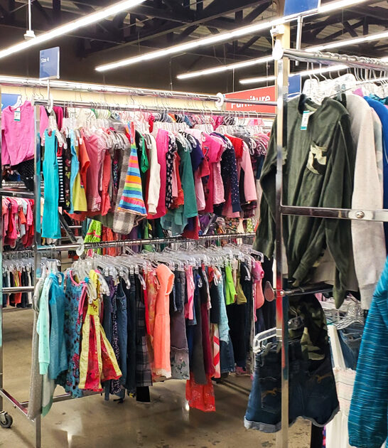 thrift bags south dakota ftr