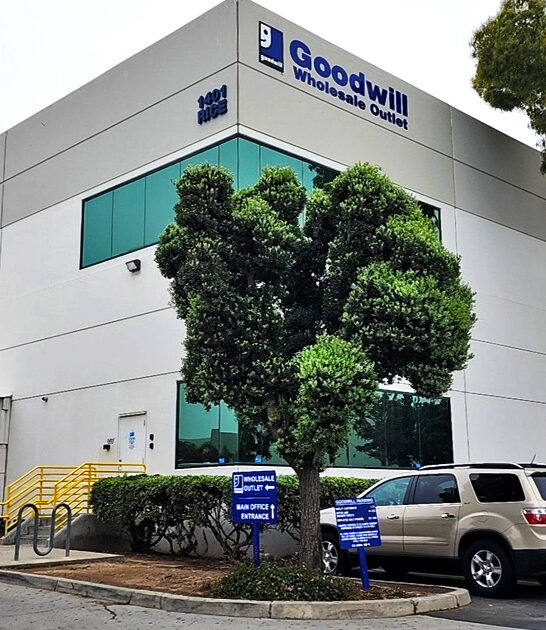 thrift california stores enormous ftr