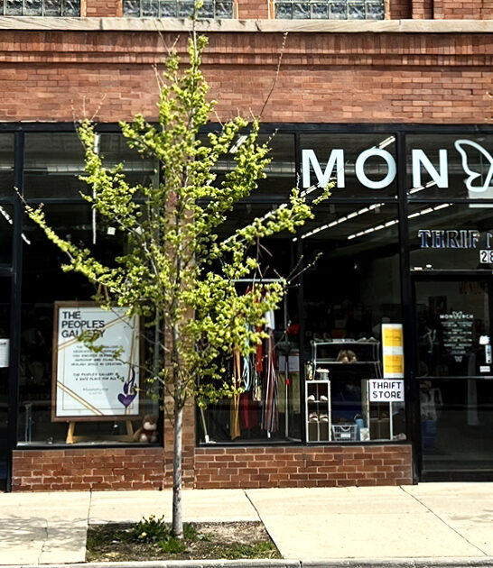 thrift good illinois store ftr