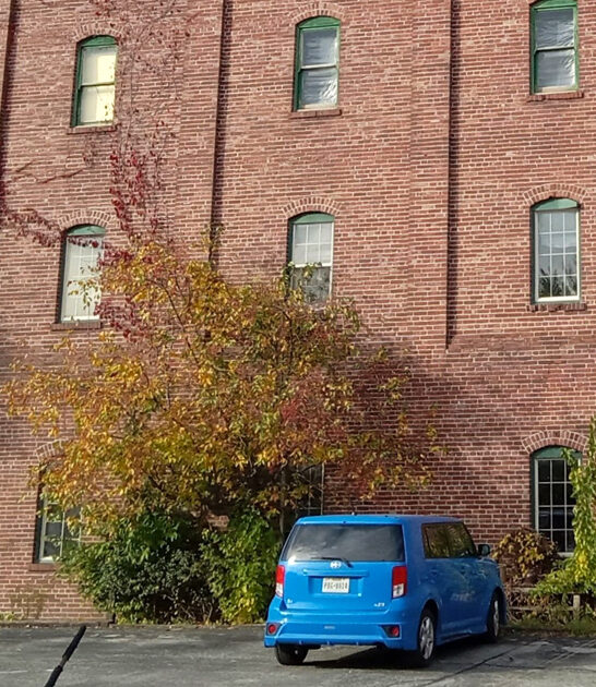 thrift indiana store massive ftr