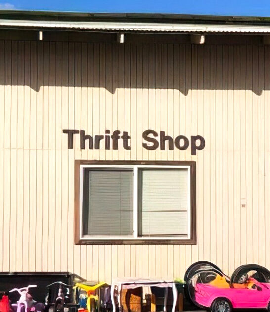 thrift store hawaii dreams ftr