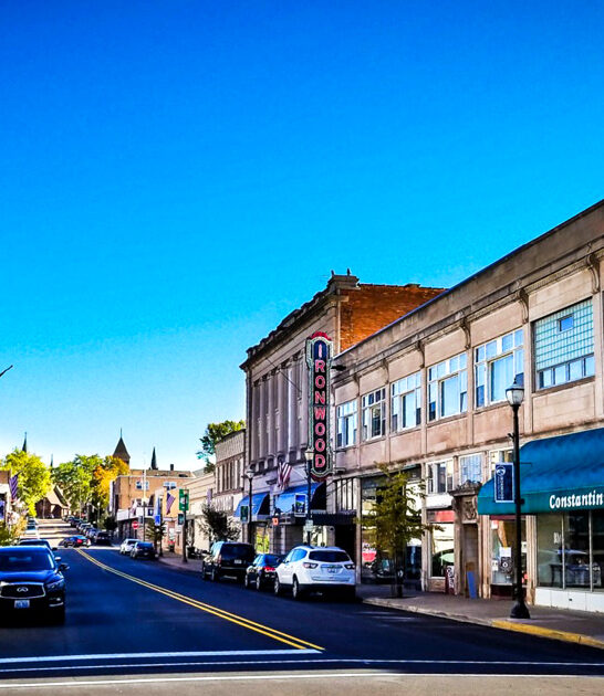 town michigan hidden gem ftr