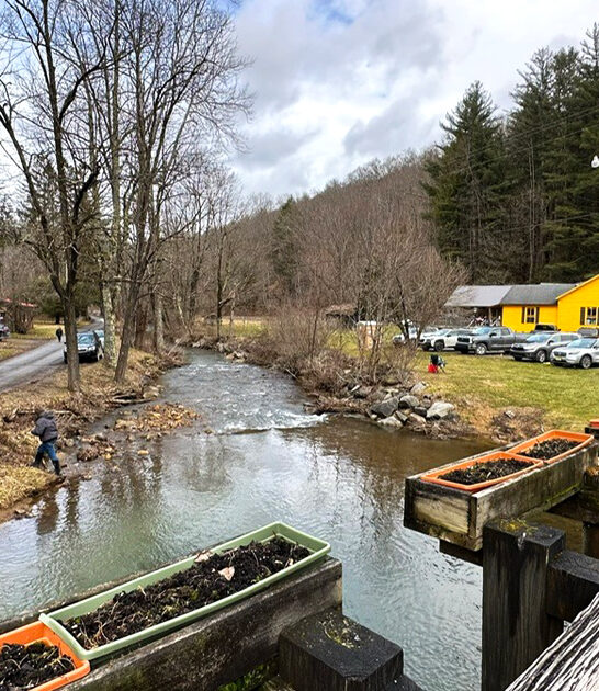 town west virginia slow ftr
