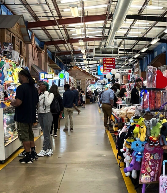 treasures massive flea market ftr