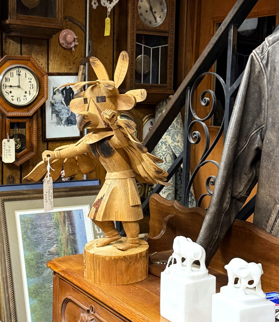 treasures new mexico backseat ftr