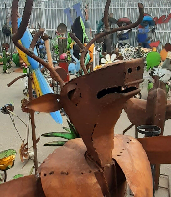 treasures new mexico store ftr