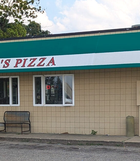 unassuming pizzerias michigan dance ftr