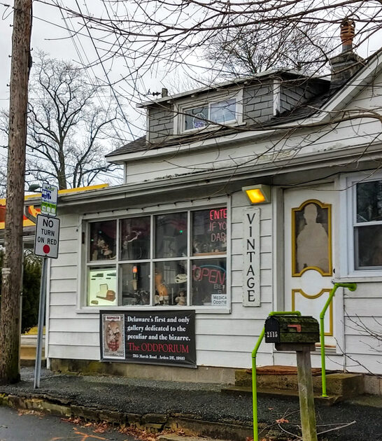unique store delaware antique ftr