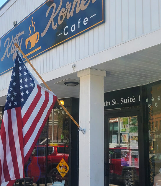 vermont charming cat cafe ftr