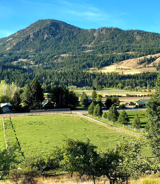 washington town postcard worthy ftr