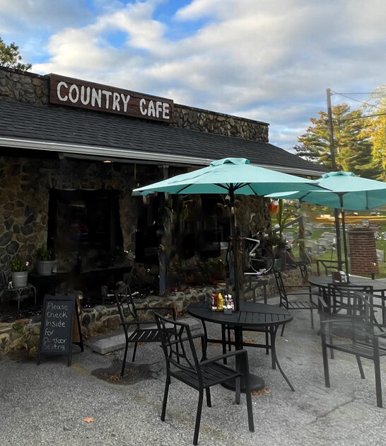 west virginia potato fries ftr