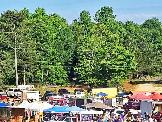 A sea of colorful tents and eager shoppers stretches across Chandler Mountain, where treasure hunting becomes an Alabama Sunday tradition.
