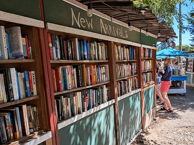 Browsing the outdoor shelves at The Book Barn feels like stumbling upon a secret library that sprouted from Connecticut soil. Even the shadows seem to be reading over your shoulder.