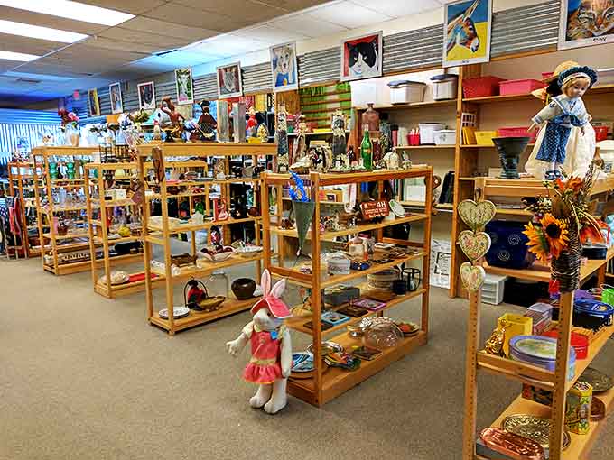 Shelves brimming with collectibles, figurines, and home decor treasures await discovery beneath whimsical cat portraits at Restyle Thrift Store.