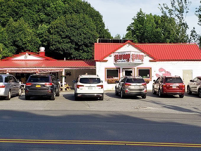 The iconic McLaughlin's sign promises exactly what Maine visitors crave: fresh seafood and live lobster, no frills necessary.