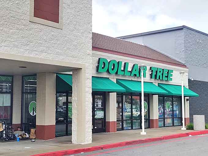 The iconic green signage of Dollar Tree beckons shoppers like a budget-friendly lighthouse guiding penny-pinchers safely to harbor.