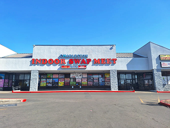 The unassuming exterior belies the treasure trove within—like finding a portal to another dimension where bargains replace black holes and shopping carts are spaceships.