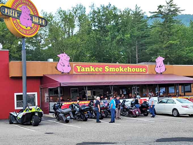 The iconic pink pig mascots of Yankee Smokehouse seem almost gleefully unaware of their role in the culinary circle of life. A barbecue landmark that beckons from Route 16.