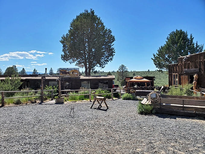 The Cowboy Dinner Tree stands defiant against time, its weathered exterior and authentic ranch equipment promising a genuine slice of Oregon's frontier spirit.