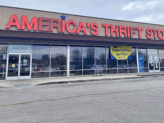 The red signage of America's Thrift Stores beckons like a siren call to bargain hunters. Inside those doors, retail therapy meets treasure hunting.