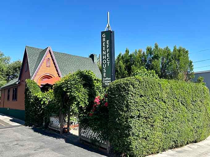 The storybook cottage exterior of Greenhouse Effect is like finding Hansel and Gretel's home &ndash; if they grew up to become coffee connoisseurs.