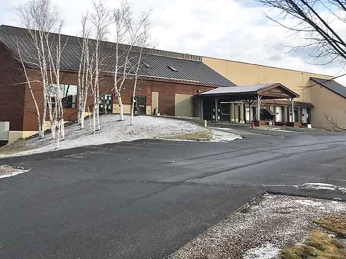 ReSOURCE's rustic wooden exterior welcomes treasure hunters with its metal roof and birch trees standing sentinel.